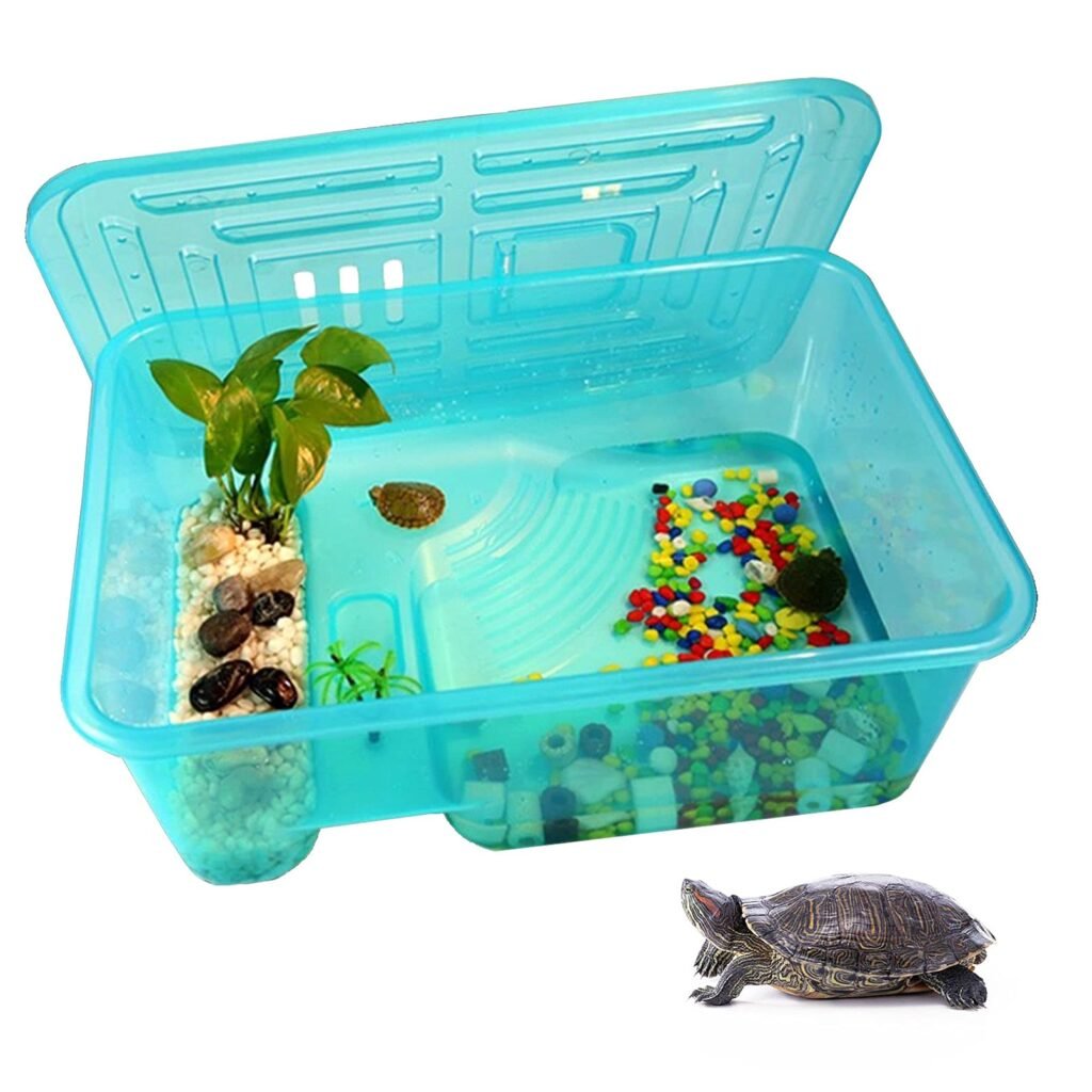 Terrario Tortuga Agua: Crea un Paraíso Acuático en Casa - Tortugas